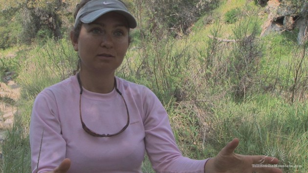 Alina - Tell it on the Mountain - Tales from the Pacific Crest Trail ...