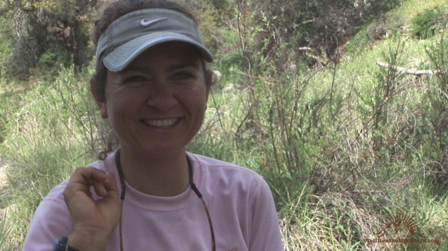 Alina - Tell it on the Mountain - Tales from the Pacific Crest Trail ...
